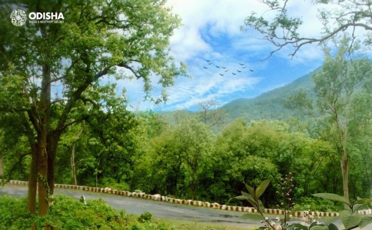 Daringbadi Photo Gallery - Odishaecoresort